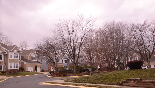 Lawn and Landscaping – Heather Knoll Cluster Association